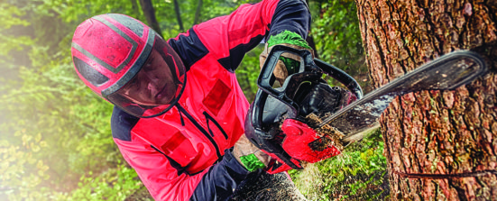 Staying Alive in Deadly Conditions is all in a Day's Work for Some ...